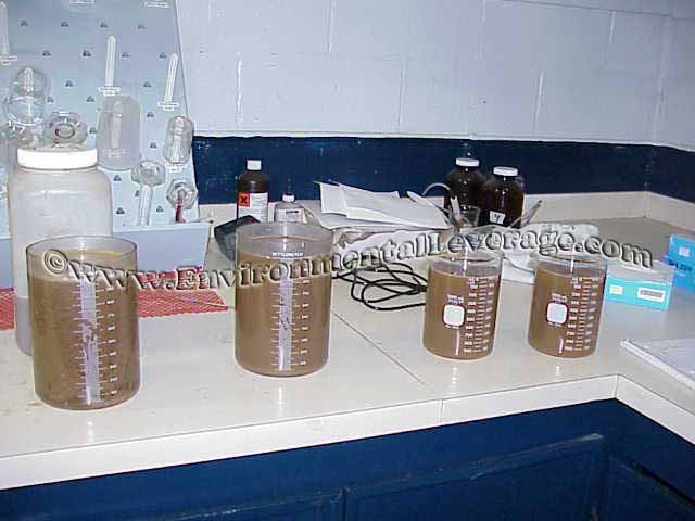 Filamentous Identification